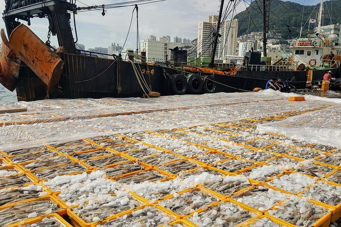 Busan and Gyeongju 2 days Tour from Seoul by KTX Bullet Train - FAQ