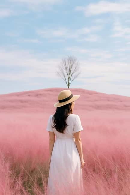 Busan: Autumn Jinju Namgang Lantern Festival & Pink Muhly - Key Points