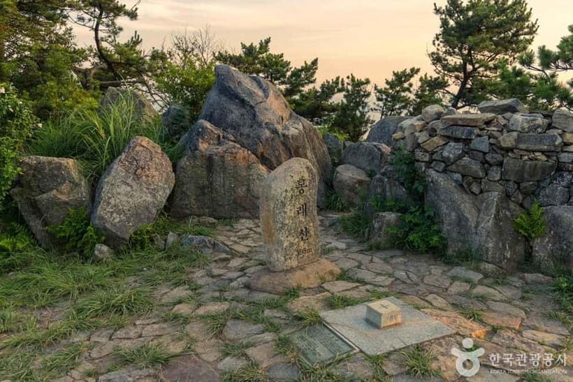 Busan: Bongnaesan Hiking Tour with Local Lunch - Key Points