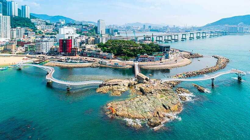 Busan: Busan 9 Highlights Tour - Is This Tour for You?