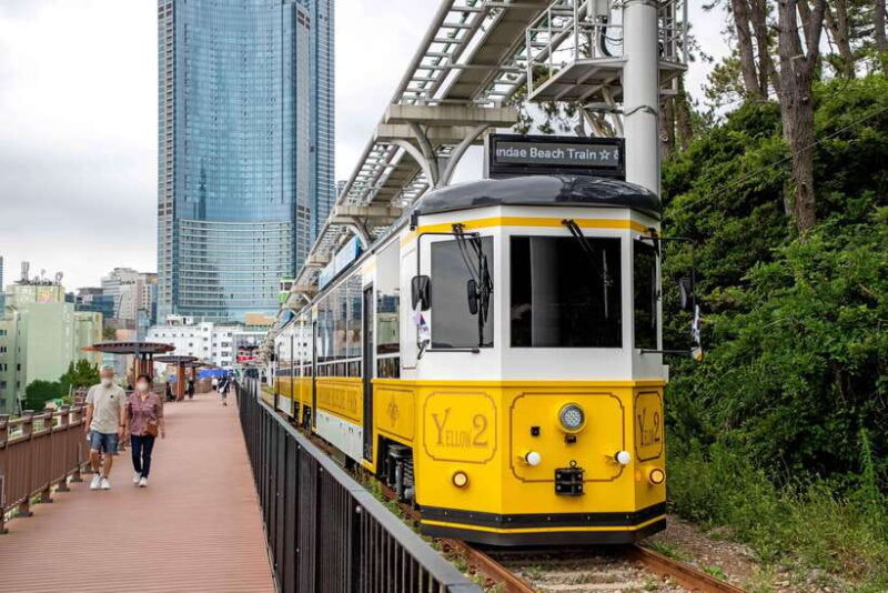 Busan: Busan 9 Highlights Tour - The Real Value: Why This Tour Works for Travelers