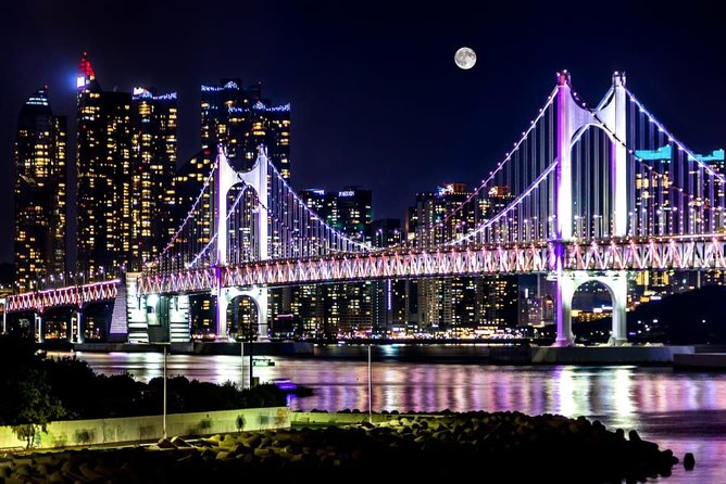 Busan by Night - Who This Tour Is Best For