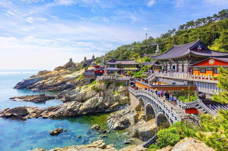 Busan City Customized Private Tour from Busan - Key Points