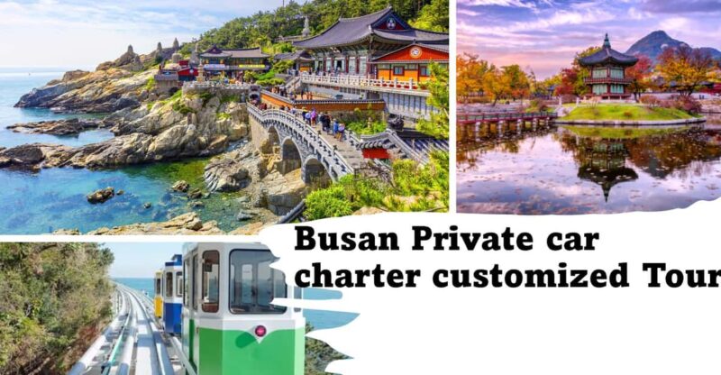 Busan City Private Chartered Car tour - Introduction