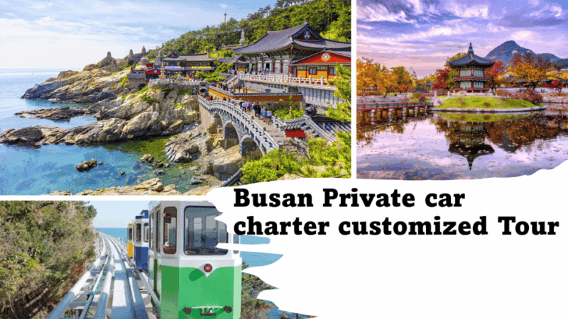 Busan City Private Chartered Car tour - The Basics of the Busan Private Car Tour