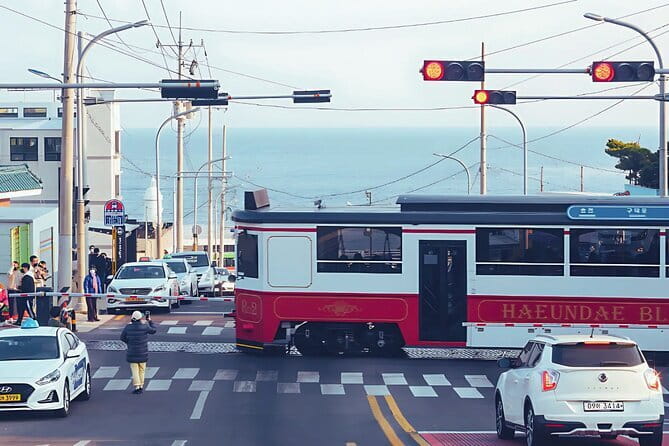 Busan City Top Attractions Full day Tour - Key Points