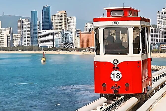 Busan City Top Attractions Full day Tour - What This Tour Means for You