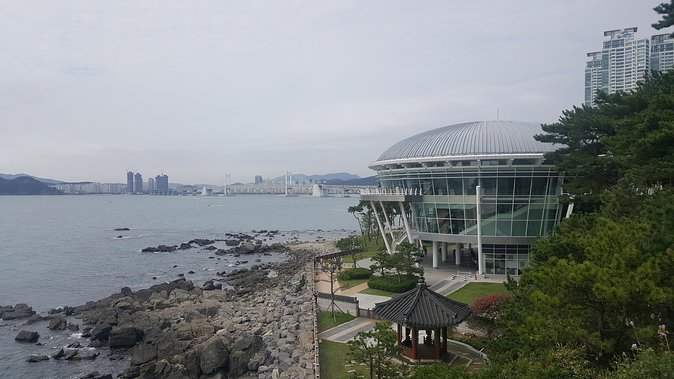 Busan city tour from Seoul by KTX bullet train - The Journey Begins: From Seoul to Busan