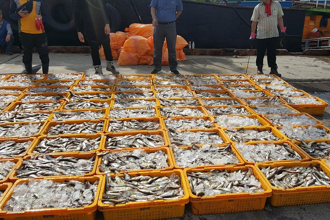 Busan city tour from Seoul by KTX bullet train - Exploring Gamcheon Culture Village