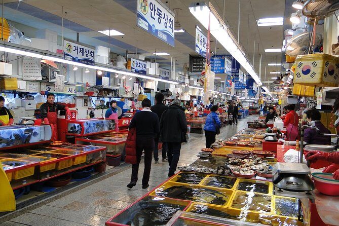 Busan City Tour Including Gamcheon Culture village and Haedong Yonggungsa Temple - Who This Tour Is Best For