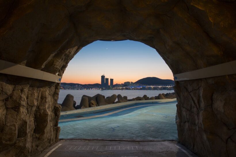 Busan: Coastal Wonders & Cultural Gems Tour opt. Sky Capsule - Who Will Love This Tour?