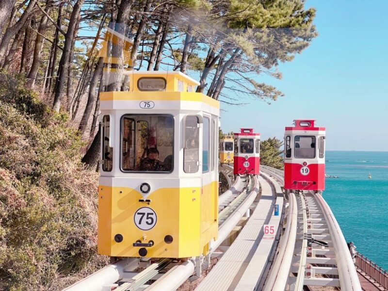 Busan: Coastal Wonders & Cultural Gems Tour opt. Sky Capsule - The Sum Up: Who Will Love This Tour?