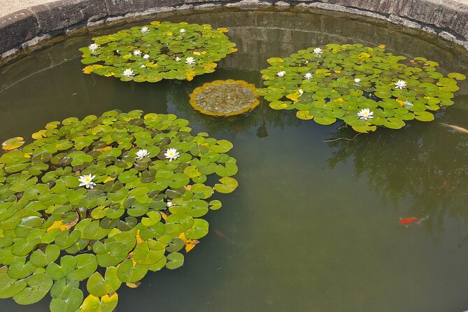 Busan Comfortable Private Tour For 5hours - Final Thoughts