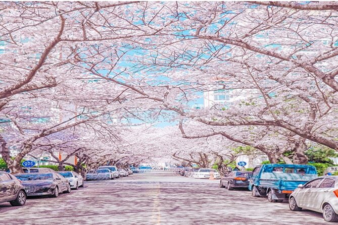 Busan Cruise Port Tour-Small Group Shore Excursion (Max 6 Guests) - Who Should Consider This Tour?