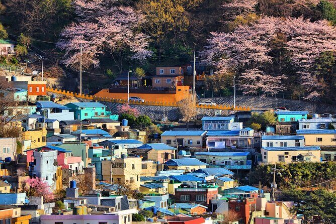 Busan Cultural Highlights and Scenic Full-Day Tour - An In-Depth Look at the Tour Itinerary