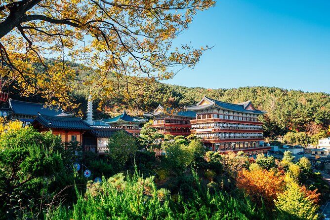 Busan Cultural Highlights and Scenic Full-Day Tour - What the Reviews Say