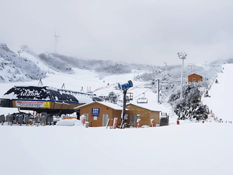 Busan: Eden Valley Ski Resort Day Trip with Equipment Rental - Who Should Consider This Tour?