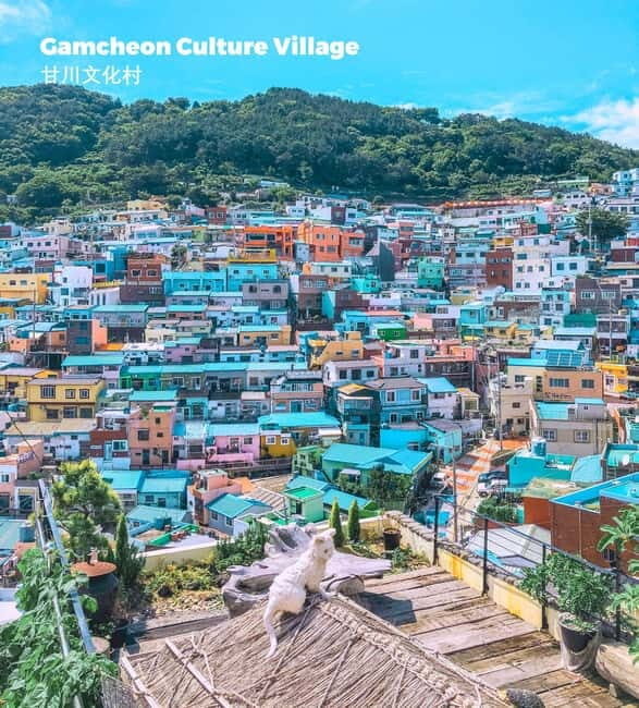Busan: Full-Day Tour Unmissable things to do in Busan - Key Points