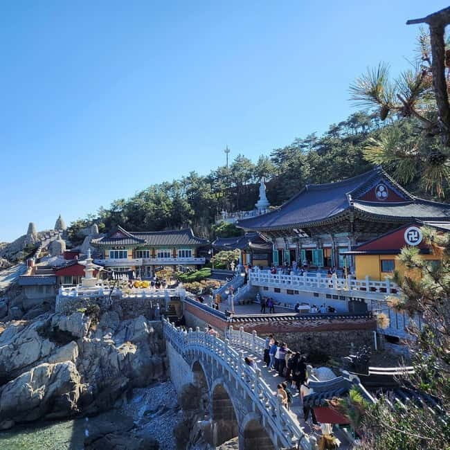 Busan: Full-Day Tour Unmissable things to do in Busan - Final Thoughts