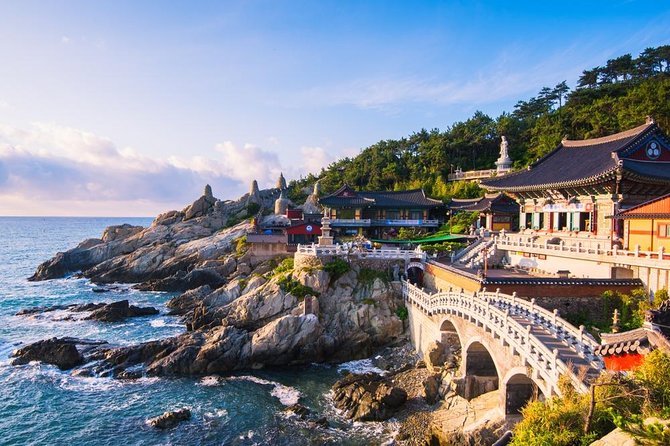 Busan: Fully Customizable Private Tour - Exploring Busan with a Fully Customizable Private Tour