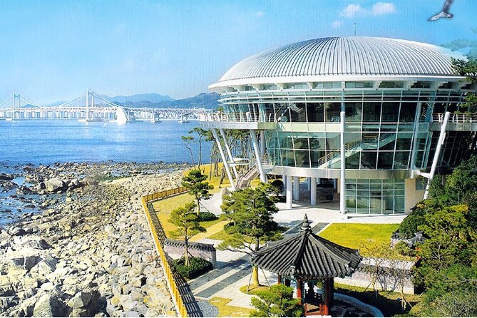 Busan: Fully Customizable Private Tour - Who Is This Tour Best For?