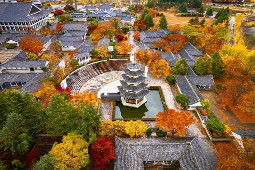 Busan: Gyeongju Autumn Foliage Day Tour with Historic Sites - An Overview of the Experience