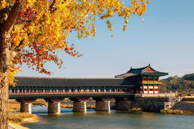 Busan: Gyeongju Autumn Foliage Day Tour with Historic Sites - Exploring the Gyeongju Eastern Historic Site Area