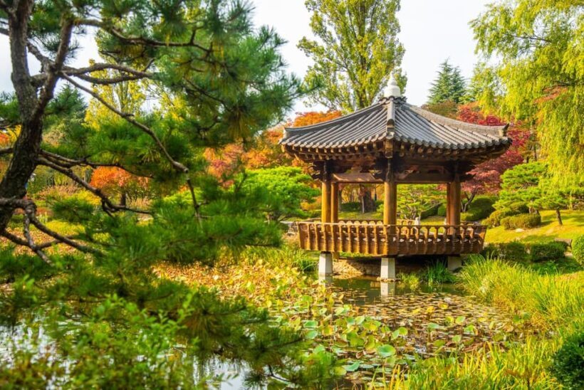 Busan: Gyeongju Autumn Foliage Day Tour with Historic Sites - Return Journey and Final Impressions