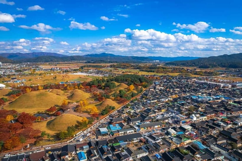 Busan: Gyeongju Autumn Foliage Day Tour with Historic Sites - Analyzing the Value