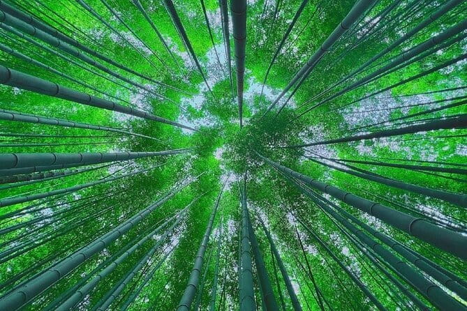 Busan Gyeongju Customizable Private Taxi or Van Tour (up to 8pax) - What Travelers Say: Authentic Feedback