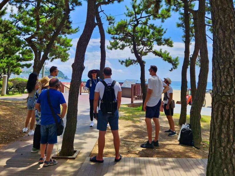 Busan: Haeundae 100-Minute Walking Tour - Visiting Haeundae Beach and Its Hidden Layers