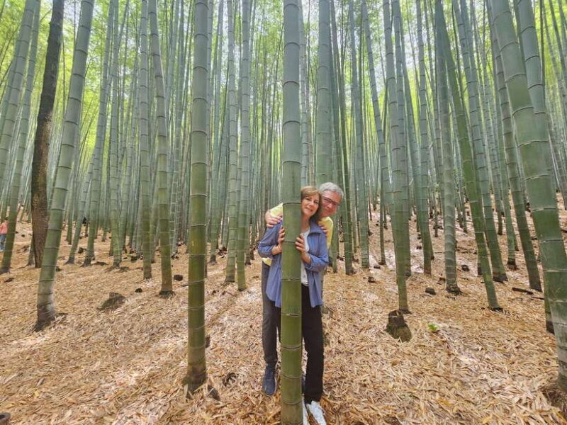 Busan Hidden Gems Private Tour with a Certified Guide - FAQ