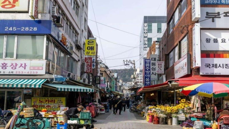 Busan: Jagalchi Market & Gamcheon village Walking Tour - Key Points