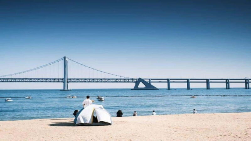 Busan: Jagalchi Market & Gamcheon village Walking Tour - What Makes This Tour Stand Out?