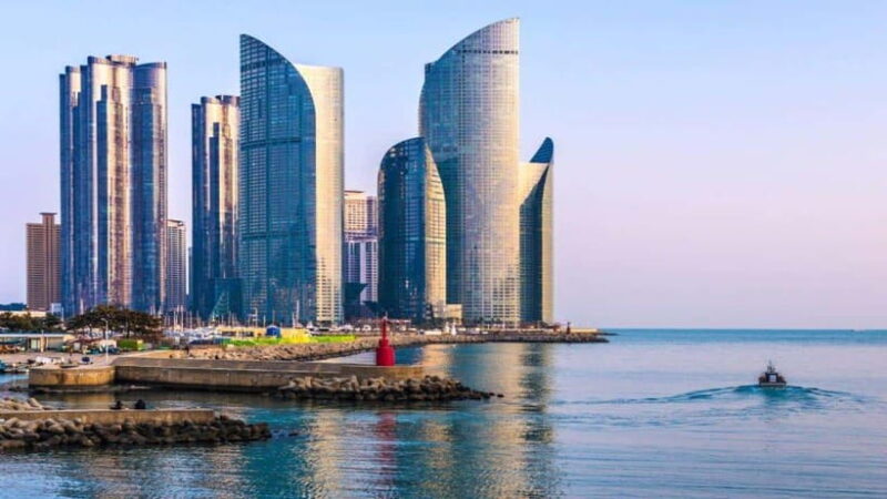 Busan: Jagalchi Market & Gamcheon village Walking Tour - Authentic Experiences and Genuine Insights from Travelers