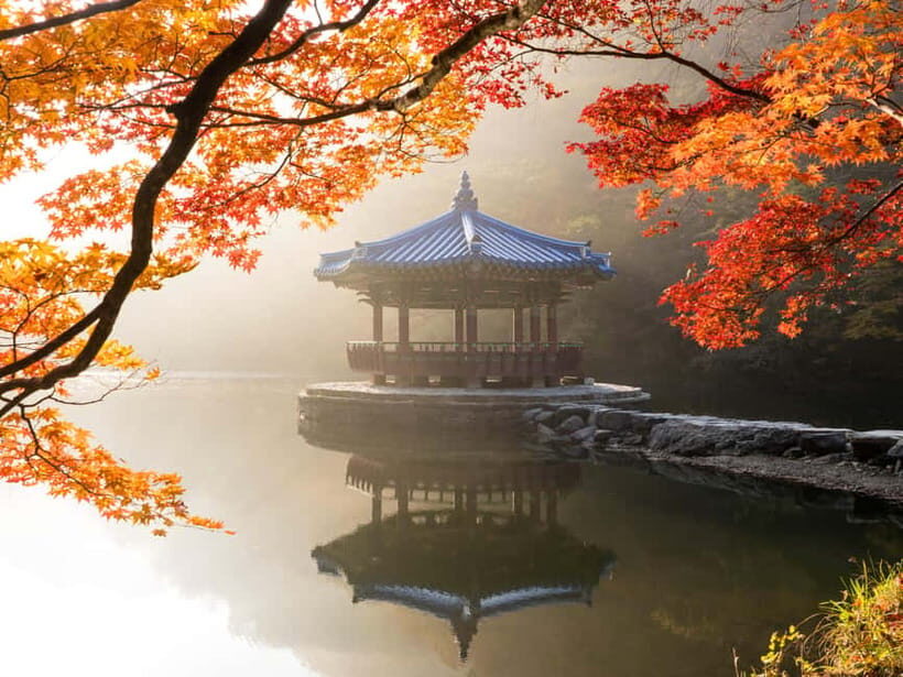 Busan: Naejangsan National Park Autumn Foliage One Day Tour - The Journey and Logistics