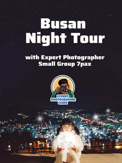 Busan Night Tour & Optional Snapshots - Key Points