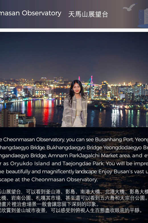 Busan Night Tour & Optional Snapshots - Who Should Take This Tour?