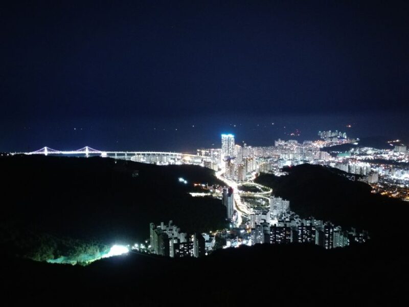 Busan: Night Viewpoints with Evening Cruise w/ Fireworks - Key Points