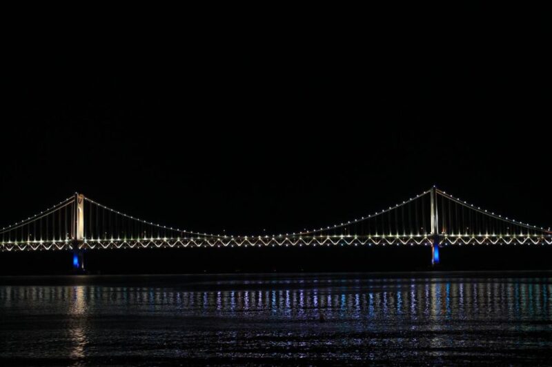 Busan: Night Viewpoints with Evening Cruise w/ Fireworks - The Cruise Experience: A Closer Look