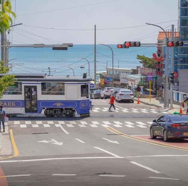 Busan: Private Chartered Car Tour - An Honest Look at the Experience
