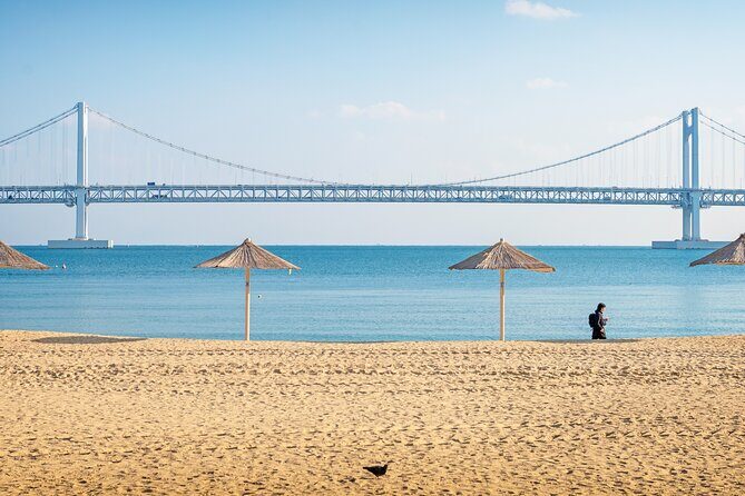 Busan Private Chauffeur Service with professional driver - What to Keep in Mind