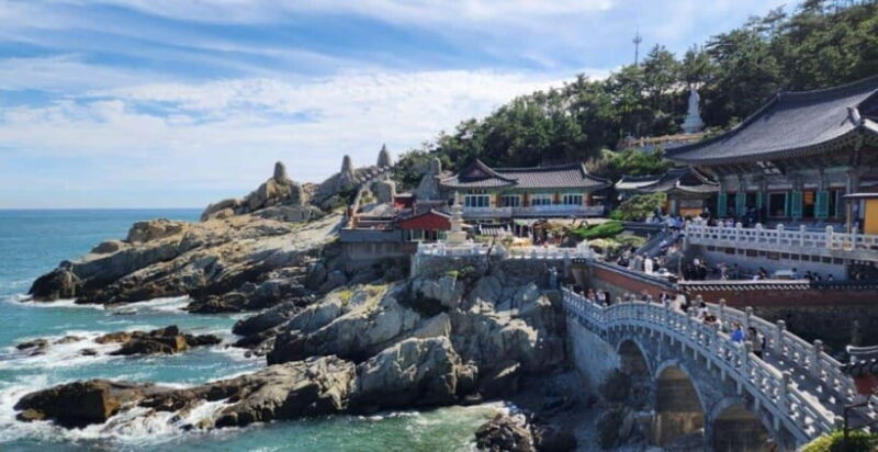 Busan private full day tour by KTX from Seoul - Exploring Busan in a Day: A Practical Review of the KTX Private Full-Day Tour from Seoul