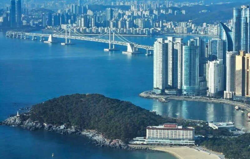 Busan private full day tour by KTX from Seoul - Why This Tour Stands Out