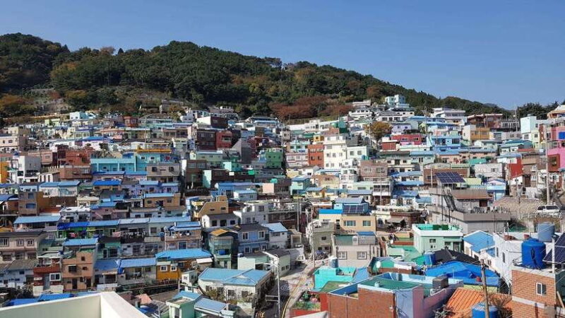Busan private full day tour by KTX from Seoul - The Itinerary in Detail: What You’ll Experience