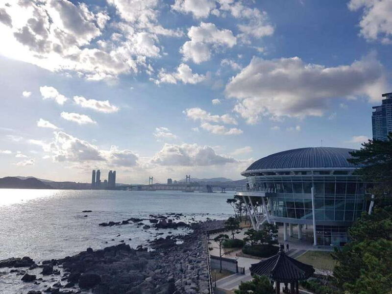 Busan private full day tour by KTX from Seoul - The Overall Experience: What Travelers Say