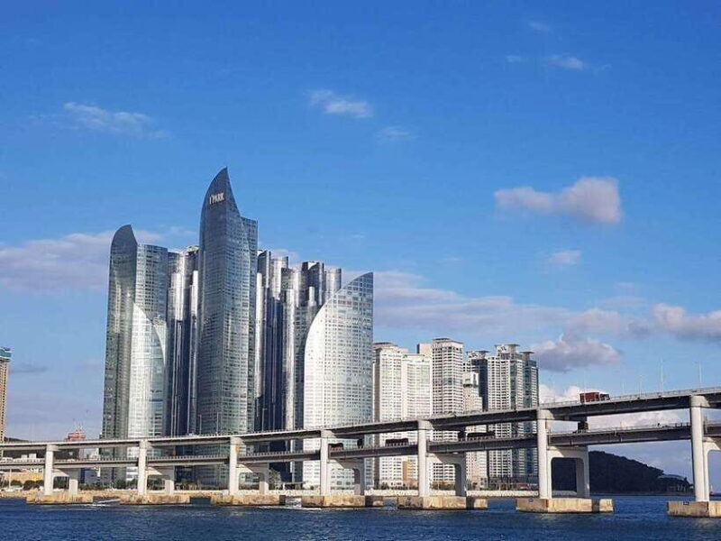 Busan private full day tour by KTX from Seoul - Practical Details and Considerations