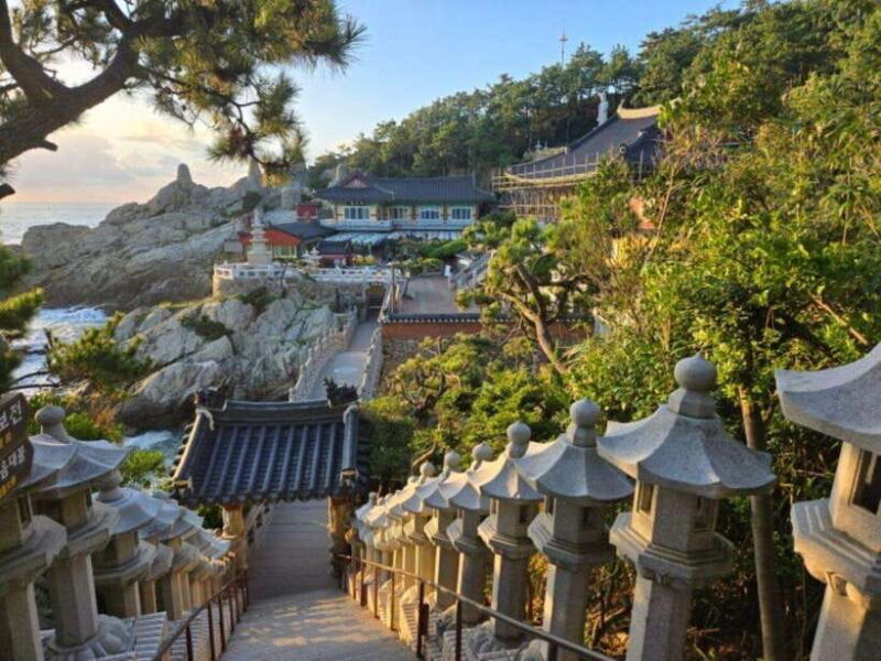 Busan private full day tour by KTX from Seoul - Who Will Enjoy This Tour?