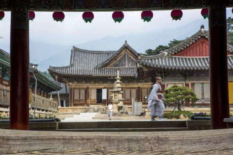 Busan private full day tour by KTX from Seoul - The Sum Up: Is This Tour Worth It?