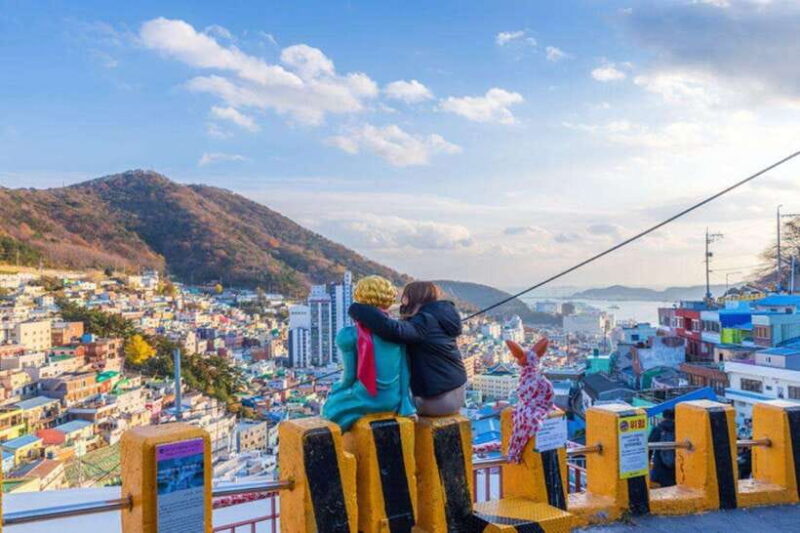 Busan private full day tour by KTX from Seoul - Frequently Asked Questions